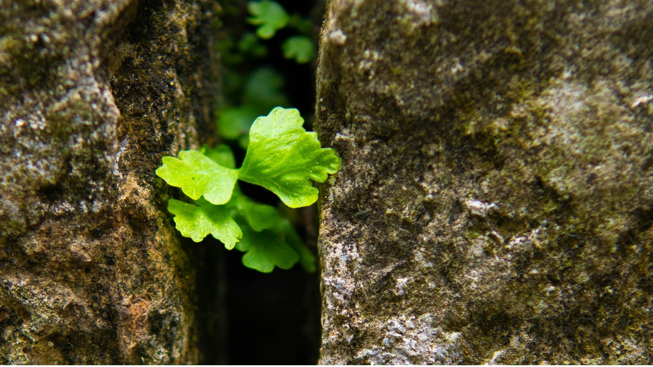 All Things Are Possible – Royal Family Christian Centre